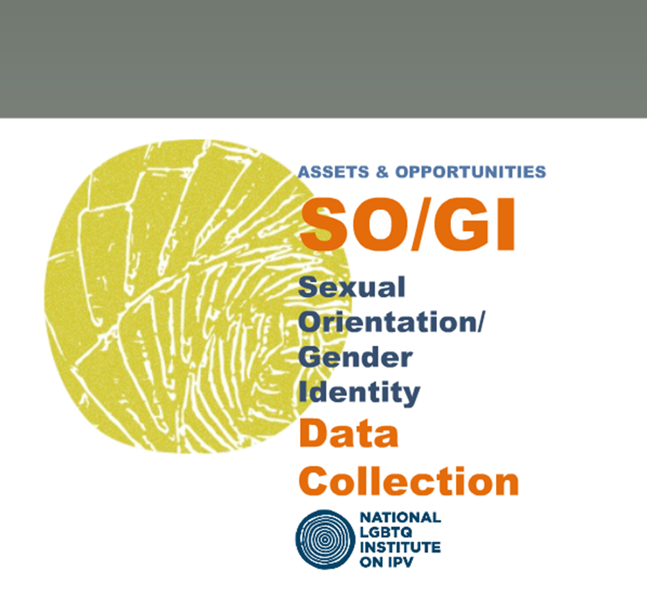 Assets And Opportunities Sexual Orientation Gender Identity Data